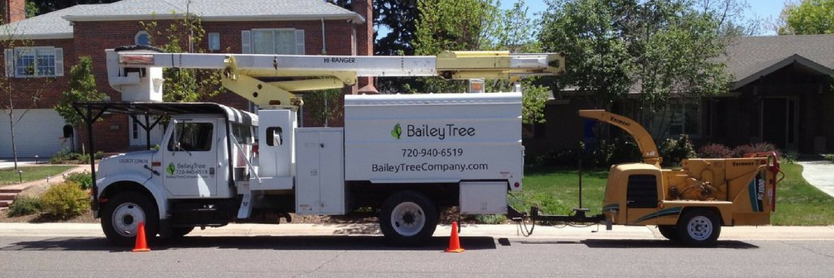 Bailey Tree LLC | Tree Service Denver Metro Area